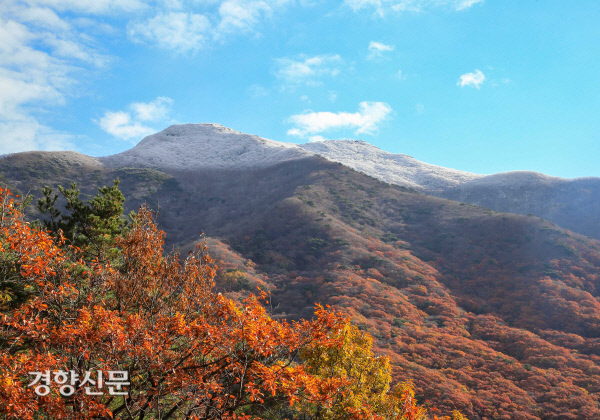 지리산 첫눈과 단풍 [경향포토]