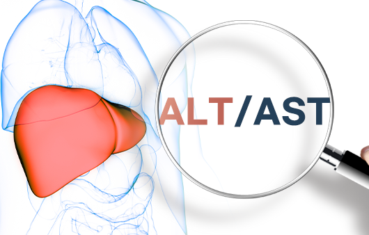 간 건강의 척도, 'ALT와 AST'의 의미..간 수치 관리법은?