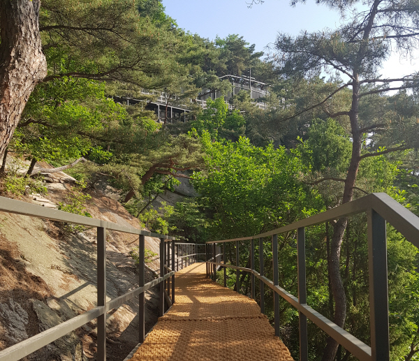 서울 도심이 한눈에..54년 만에 열린 북악산 등산로 가보니 [르포]