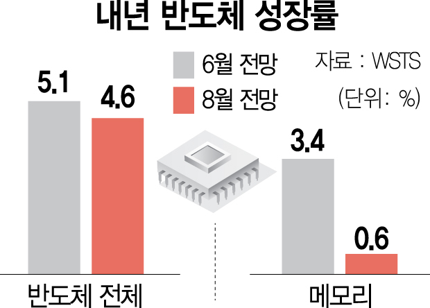 "메모리 0%대 성장"..K반도체 경고음 더 커졌다 [뒷북비즈]