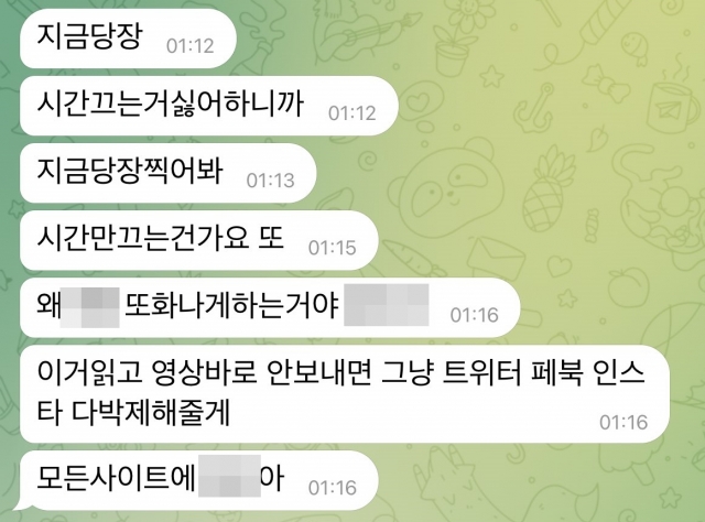 [단독] 제2 N번방 엘과 유사한 성착취 협박 피해자 더 있다