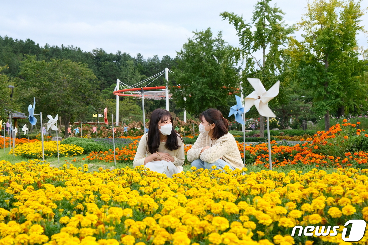 [풍경] 가을빛으로 물드는 영동군 노근리평화공원