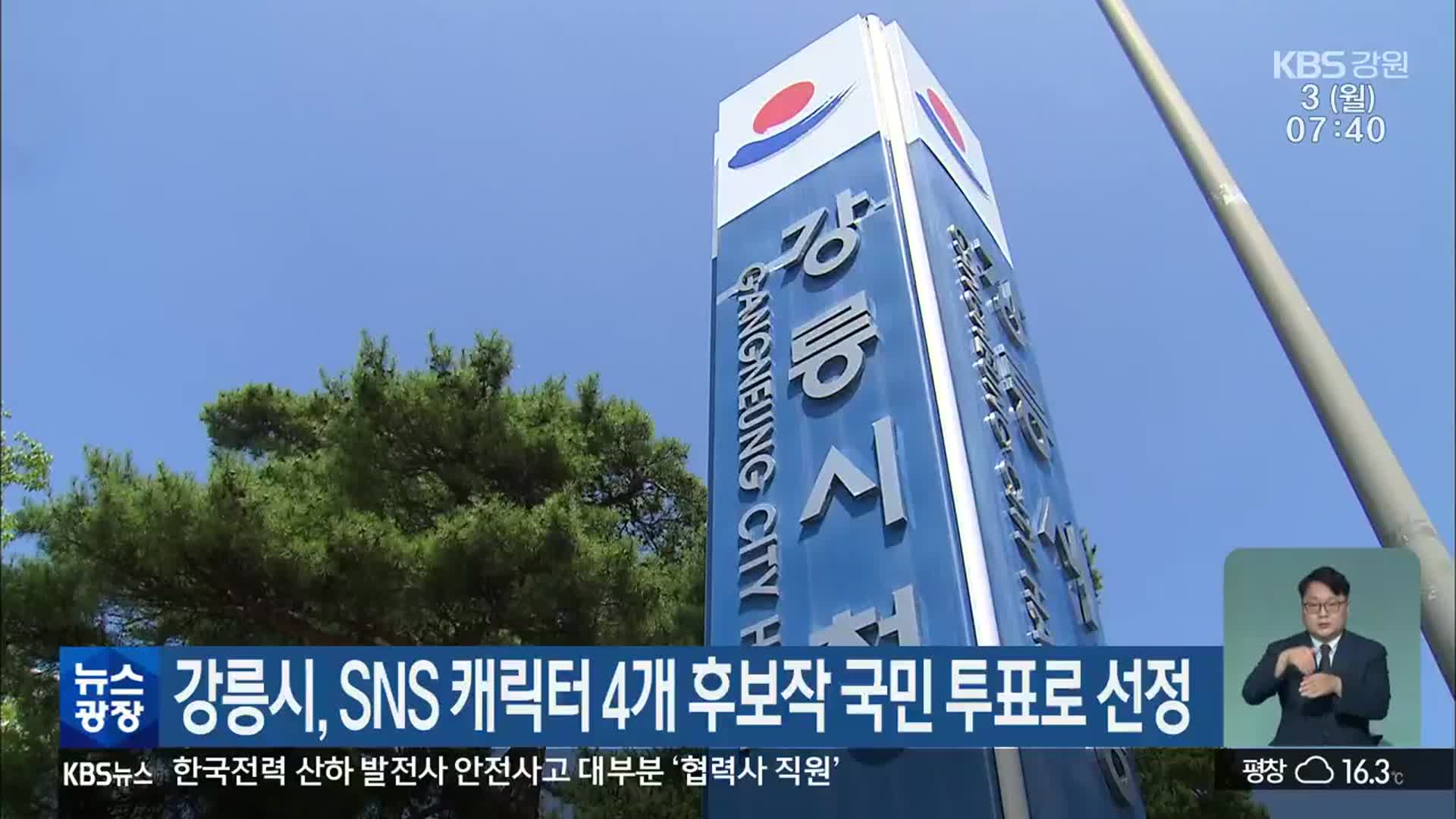 강릉시, SNS 캐릭터 4개 후보작 국민 투표로 선정