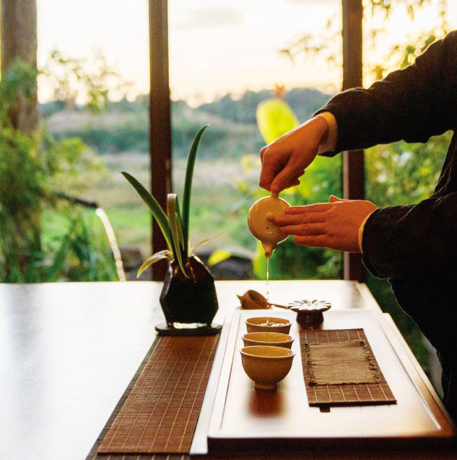 [tea] MZ와 만난 茶