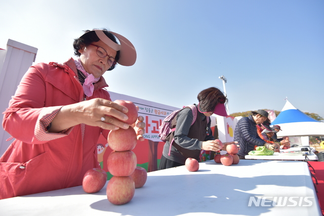 청송사과축제 청송읍 용전천서 9일 개막안전한 축제 