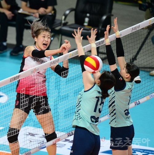 KGC인삼공사, GS칼텍스 꺾고 4위로 껑충 [V리그]