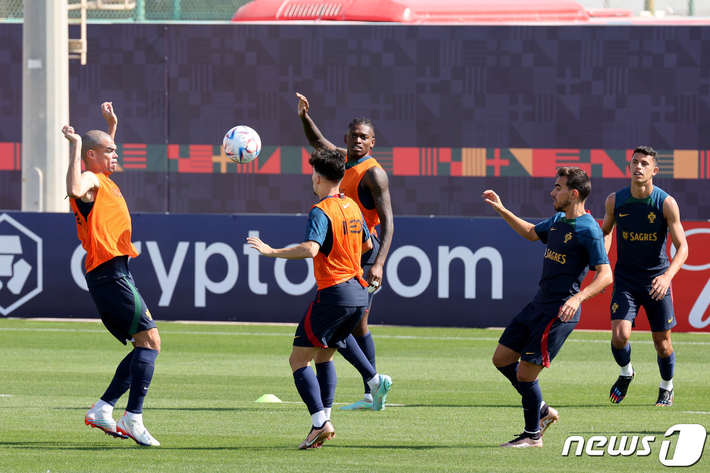 페페 '깜짝이야'