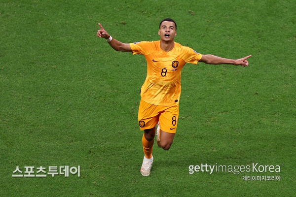 '각포 3G 연속 골' 네덜란드, 카타르에 1-0으로 전반 리드