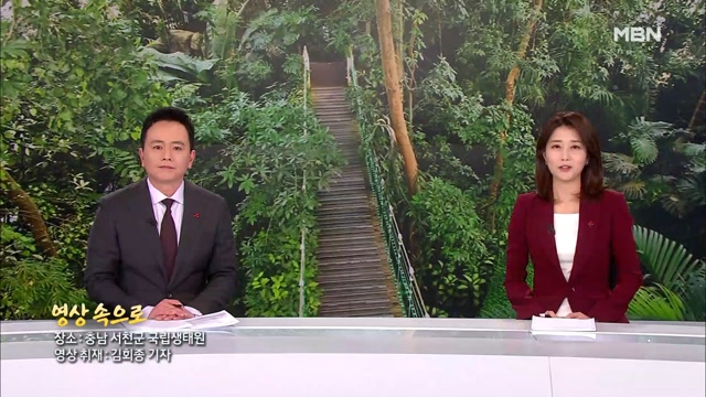 12월 10일 MBN 뉴스센터 클로징