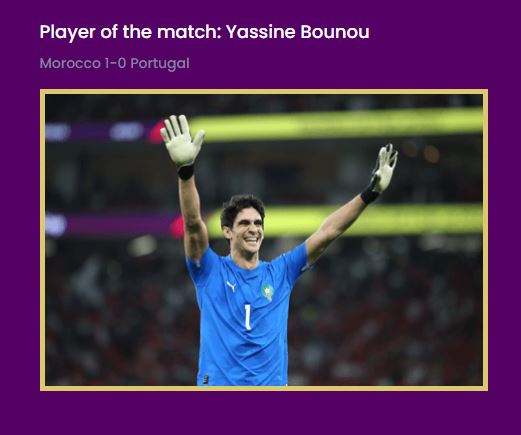 '호날두 억제기' 모로코 GK 부누, 2G 연속 POTM 쾌거[월드컵 스타]