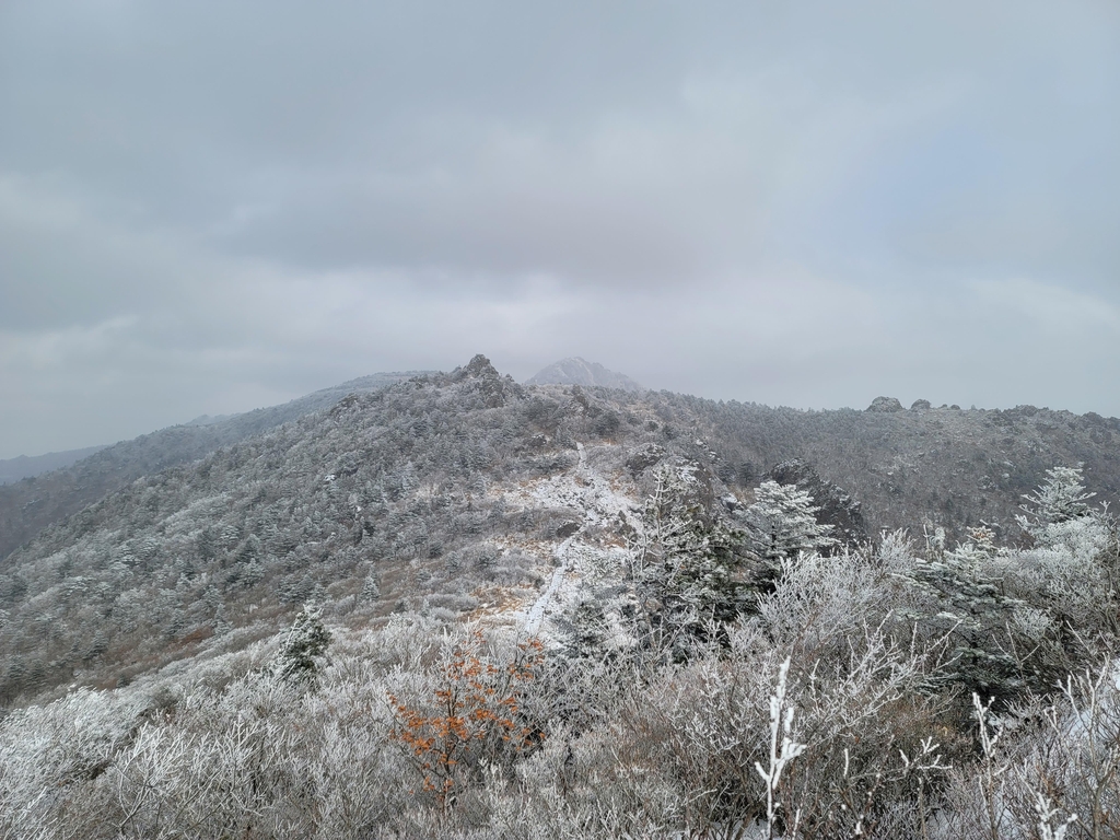 "설경 보자"…지리산국립공원, 16일 탐방로 전면 개방