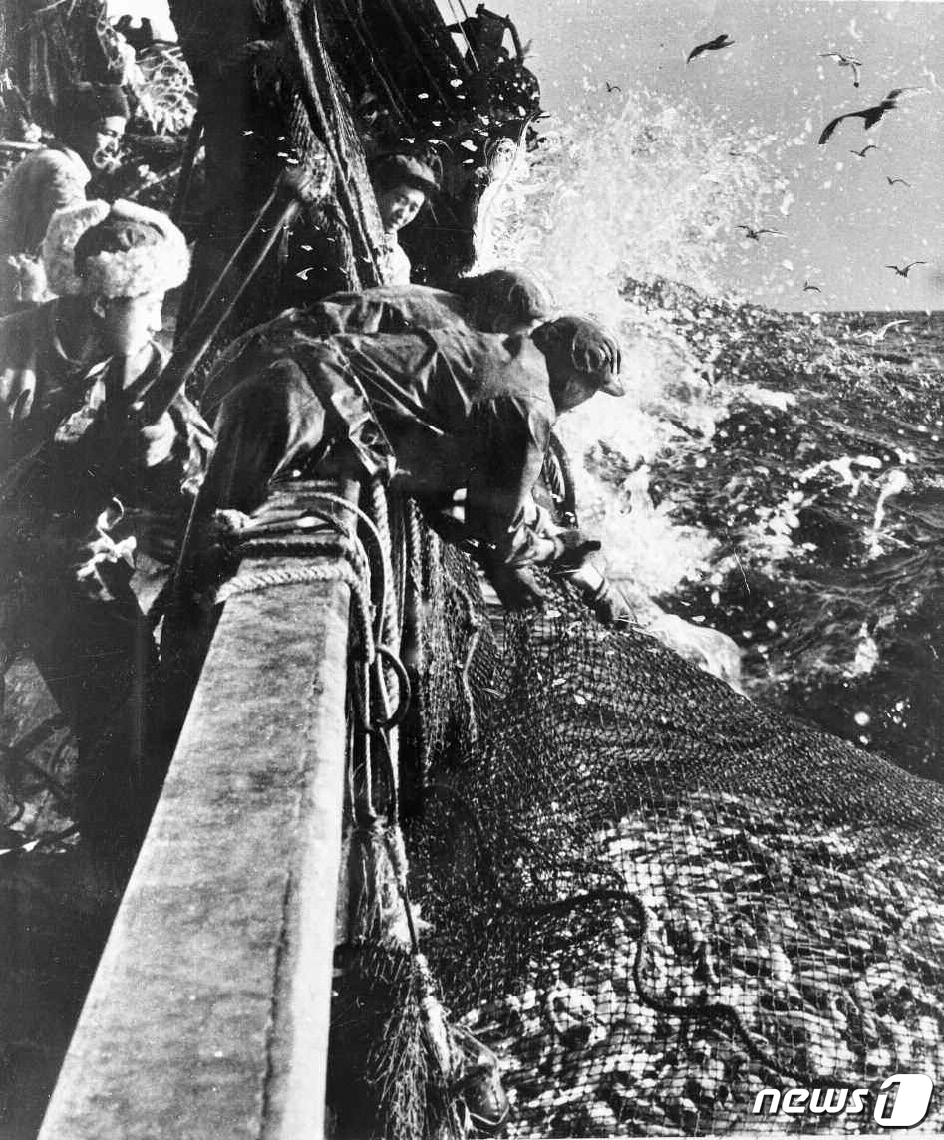 북한, 어업 독려… "1960~70년대 어로전사들처럼"