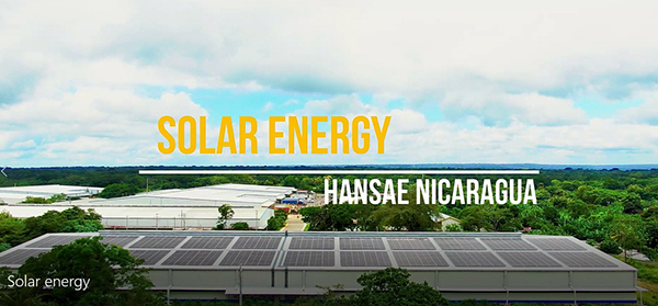 Hansae installs solar panels in overseas facilities for carbon neutrality