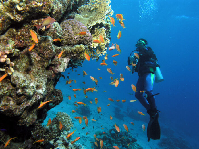 스킨스쿠버에게 상어보다 더 무서운 것은?