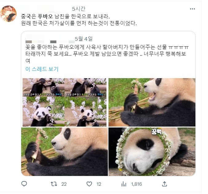 중국 안 가면 안 되나요용인 푸씨 푸바오 곧 한국 떠난다 