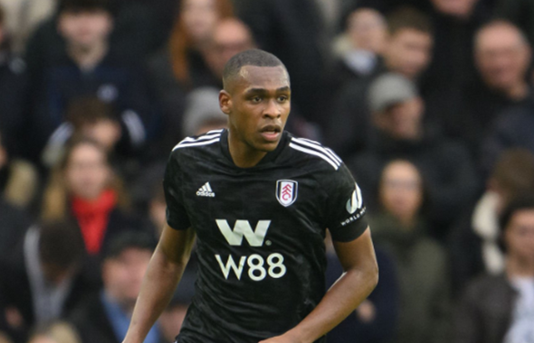 [EPL zip] '엇갈린 희비' 풀럼, 사우스햄튼 2-0으로 격파