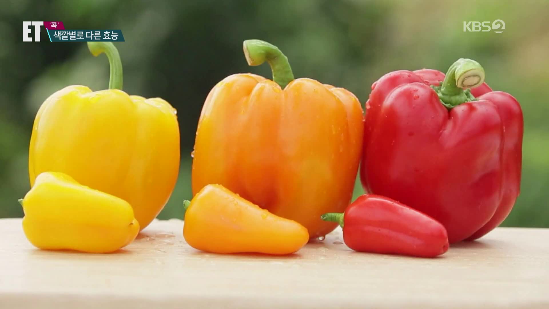 [ET] ‘빨주노초’ 파프리카의 비밀…색깔마다 효능이 다르다?