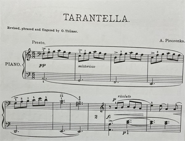 [부산갈매기] 모르는 작곡가라고 무시한 나를 반성합니다