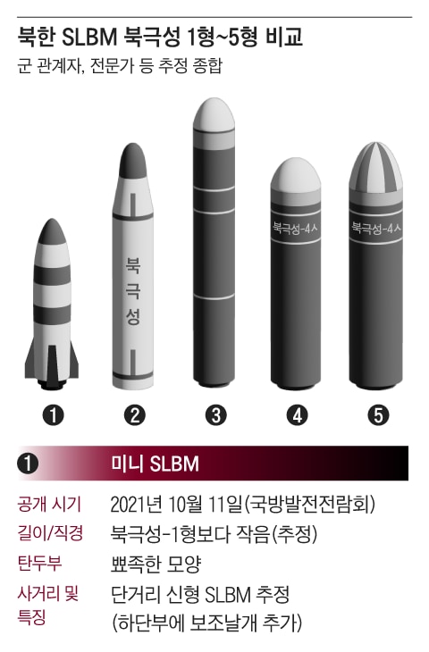 北 신형 잠수함, 美항모 공격 ‘핵 어뢰’ 탑재할듯...SLBM 발사관 10개 포착