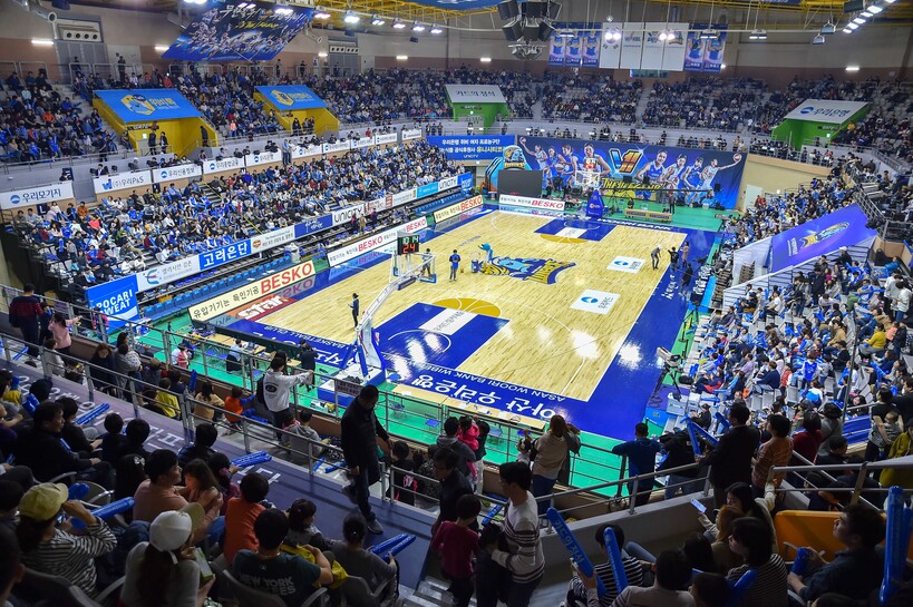 [WKBL 개막 D-3] WKBL 100배 즐기는 법? 직관 후기 공유한다