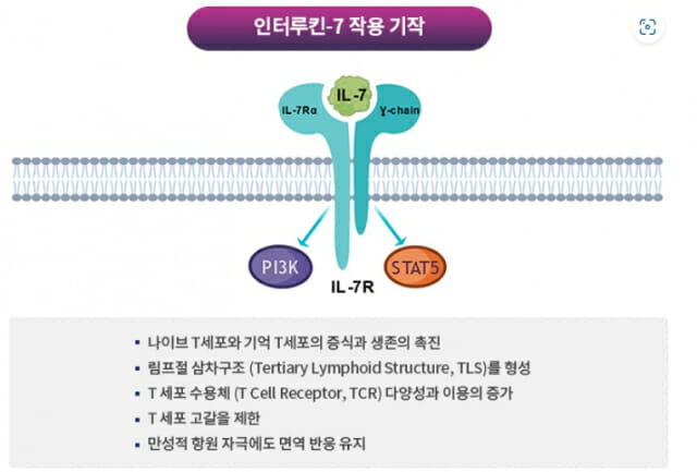 네오이뮨텍, NT-I7 급성 방사선 증후군 美 FDA 희귀의약품 지정