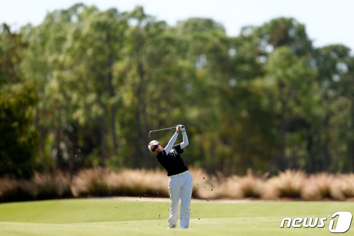 양희영, LPGA 투어'최종전' CME그룹 챔피언십 2R서 공동 3위