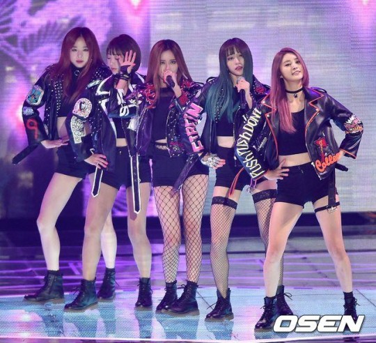 EXID 역주행 이끈 신사동 호랭이, 돌연 사망..프로필 뮤직도 EXID인데 [Oh!쎈 이슈]