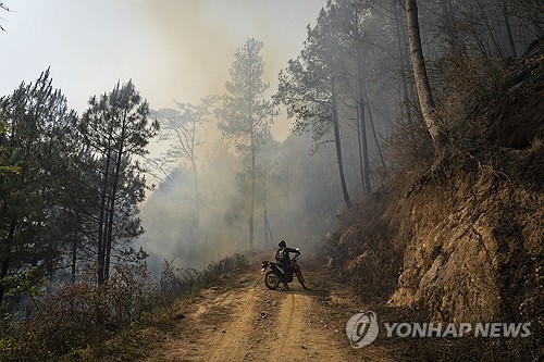Nepal Forest Fire