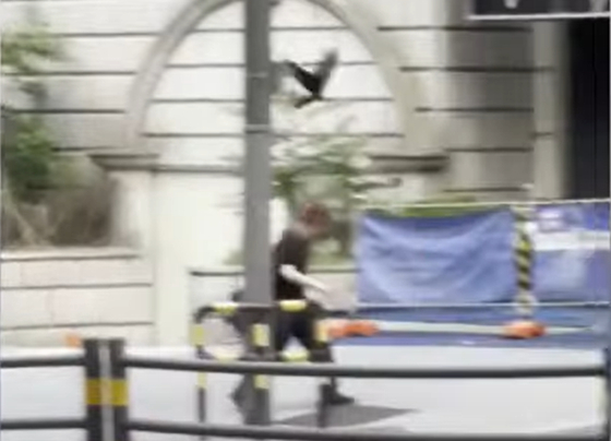 Koreans left in a flap by flurry of head-pecking crow attacks