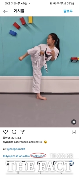 [파리 올림픽] IOC, 공식 SNS에 '태권도'를 '유도'로…왜 이러나