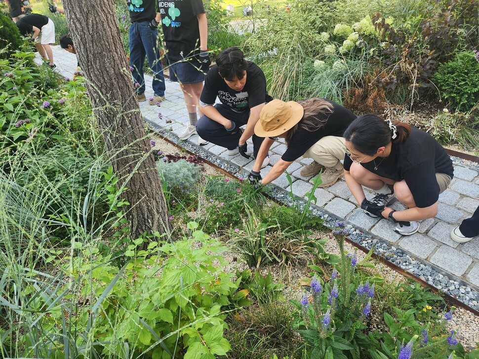 도시에서 정원 만들어요…경의선 숲길 청년 정원사들