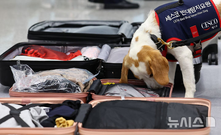 '꼼꼼하게 찾아내요'