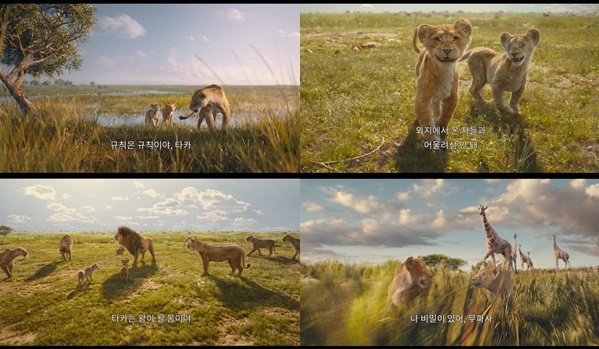 ‘라이온 킹’ 프리퀄 ‘무파사’ 12월 개봉…예고편 최초 공개