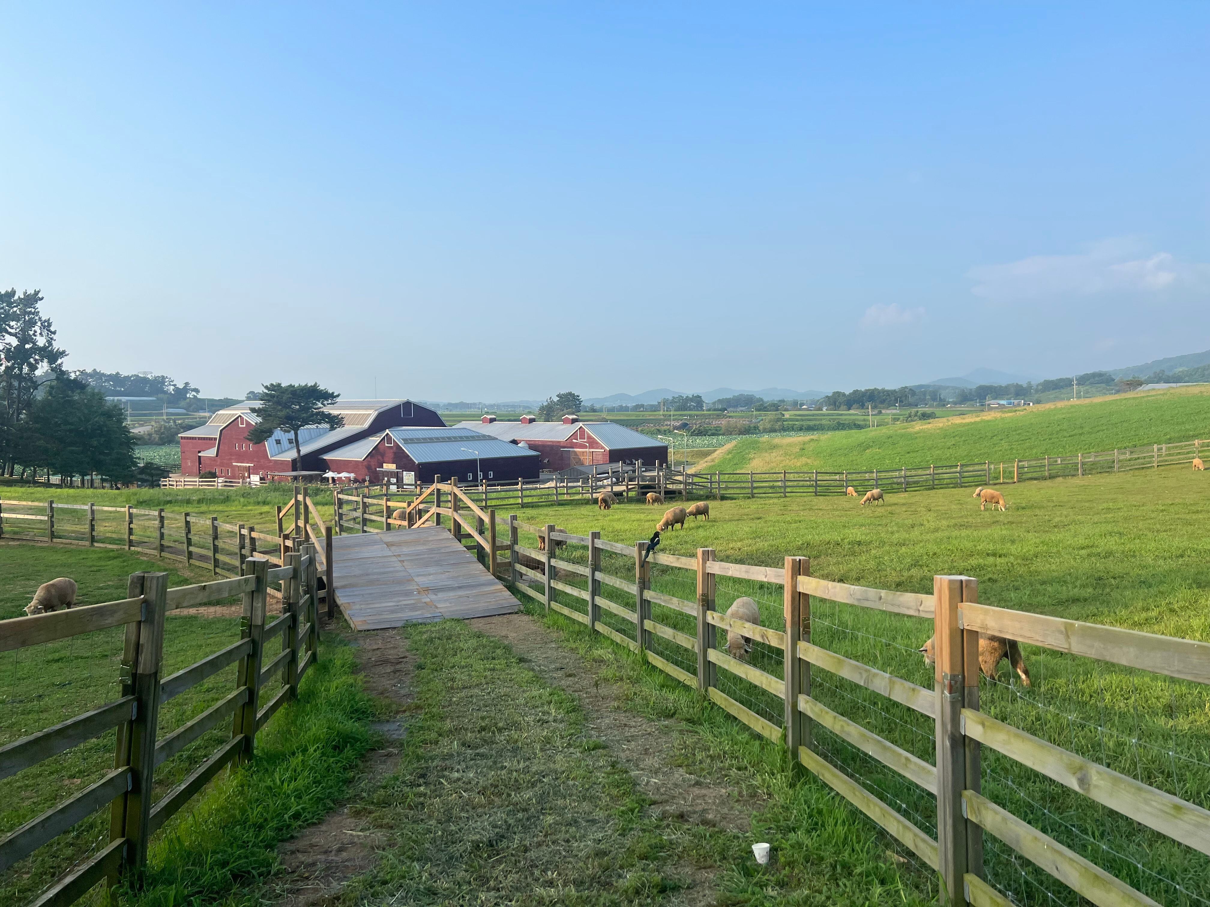 How Sangha Farm became a family-friendly tourist hotspot in shrinking ...