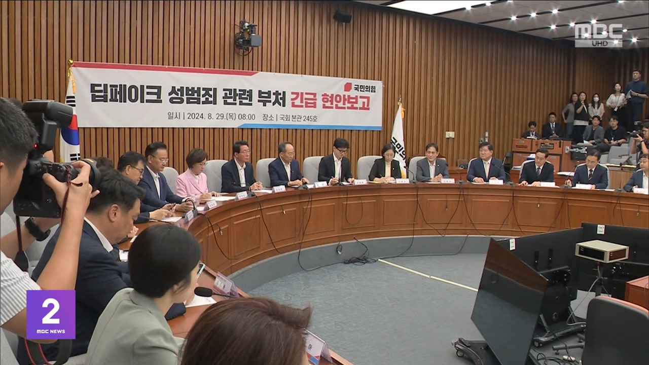 딥페이크 성범죄 징역 7년 추진‥촉법 연령 낮춰야