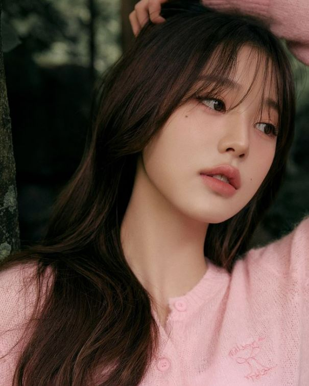 YouTuber who attacked Ive, BTS members denies defamation accusation