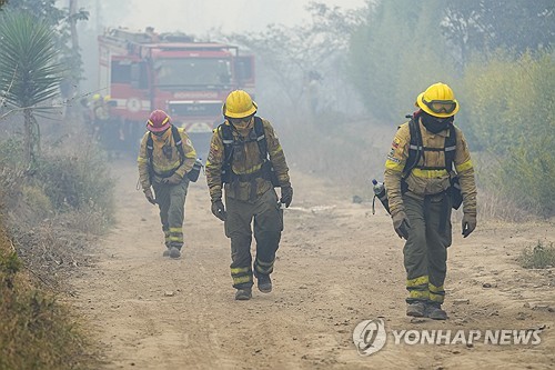 Ecuador Forest Fires