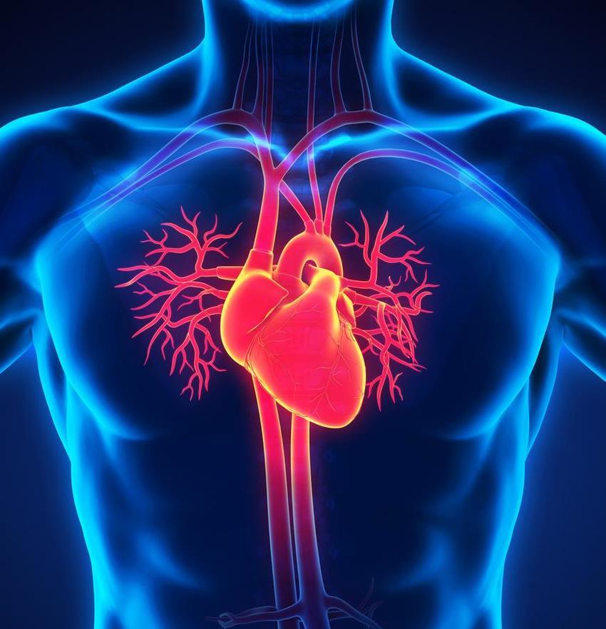 "남자다워야 압박, 심혈관질환 키울 수 있어"