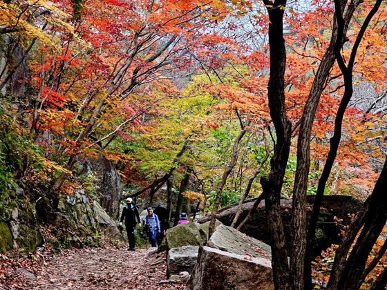 Beauty on Mount Bukhan as hikers relish fall foliage — in pictures