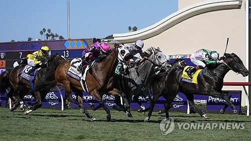 Breeders Cup Turf Sprint Horse Racing