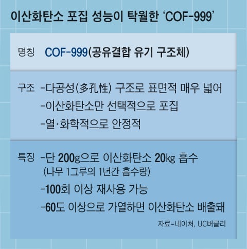 ‘마법의 노란가루’ 200g, 나무가 흡수 ‘1년치 탄소’ 없애