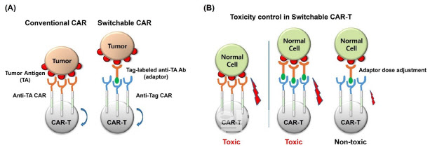 티카로스, ‘Switchable CAR-T’ 기술 네이처 커뮤니케이션스 게재