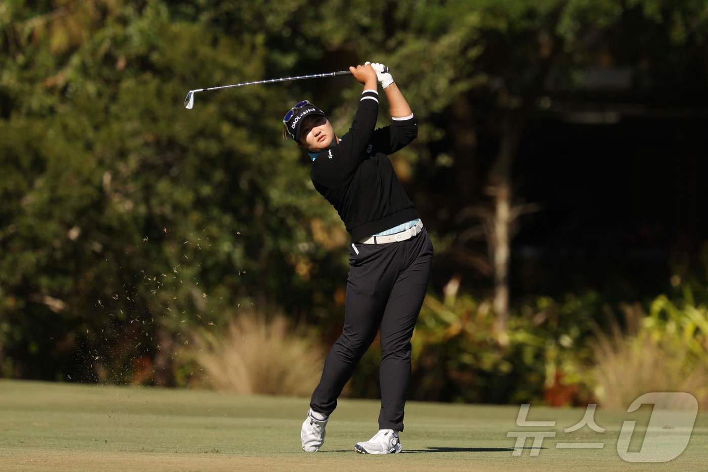 LPGA 3승, 13년 만에 최소…아쉬움 남긴 2024 한국 여자골프