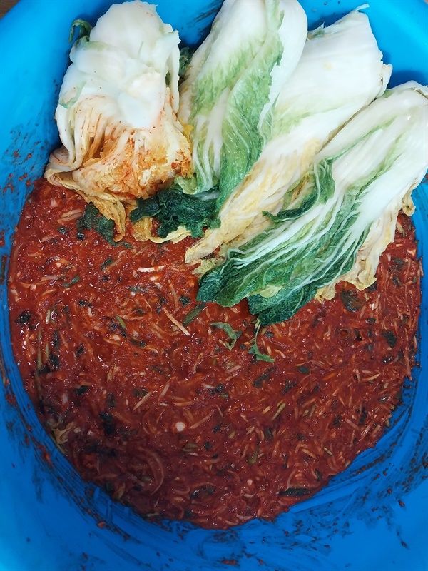 "며느리한테 연락 안 해" 확 달라진 김장 분위기