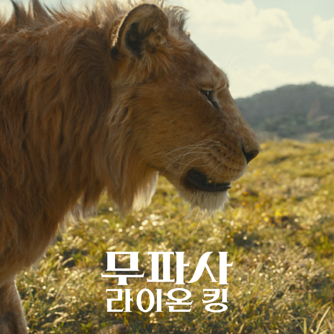 개봉예정작 | 새롭게 돌아온 개봉 정보 줄거리 예고편 | 씨네랩