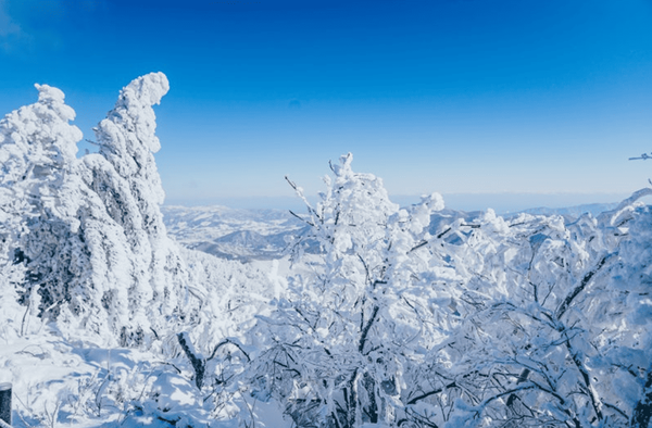"겨울의 낭만, 눈꽃을 만나는 겨울산 BEST 4" | 여행톡톡