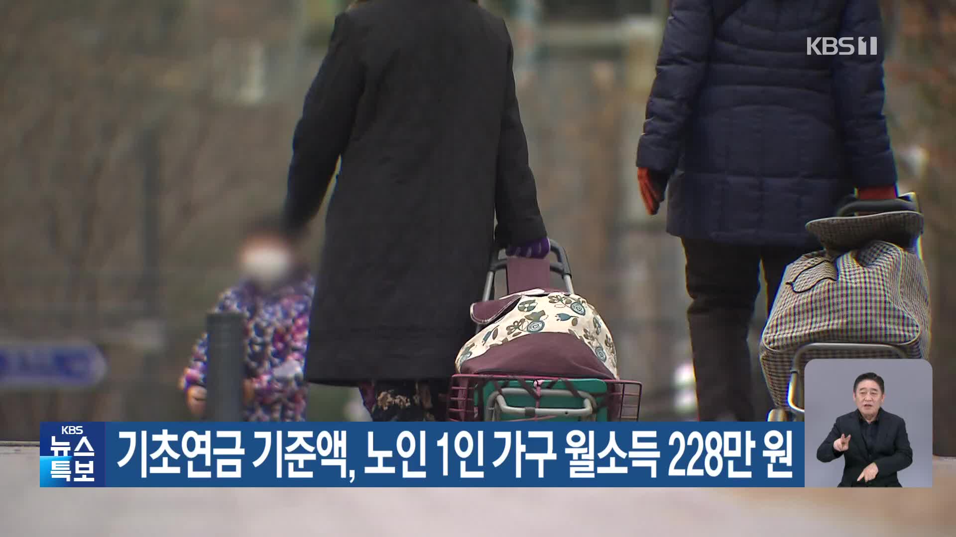 기초연금 기준액 노인 1인 가구 월소득 228만 원