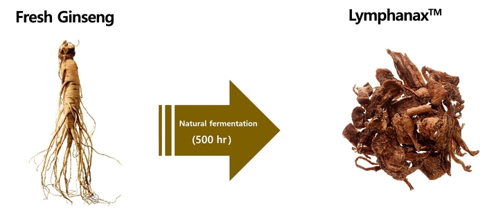 아모레퍼시픽, 설화수 핵심 원료 ‘림파낙스’ 항염 효과 입증