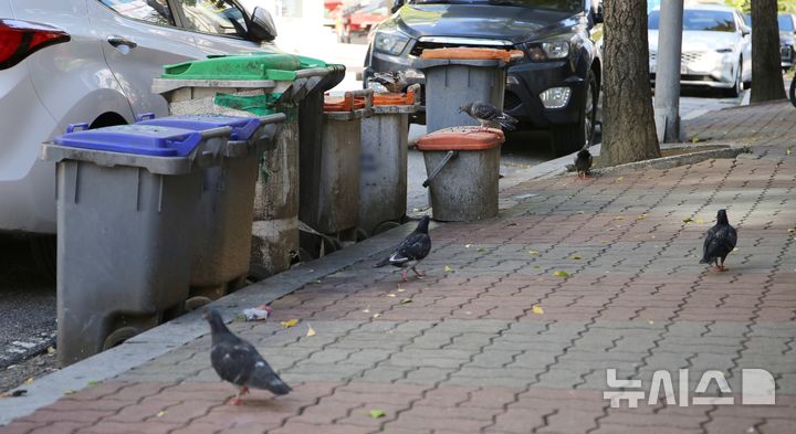 집비둘기 등 야생동물에 먹이 주면 과태료…최대 100만원
