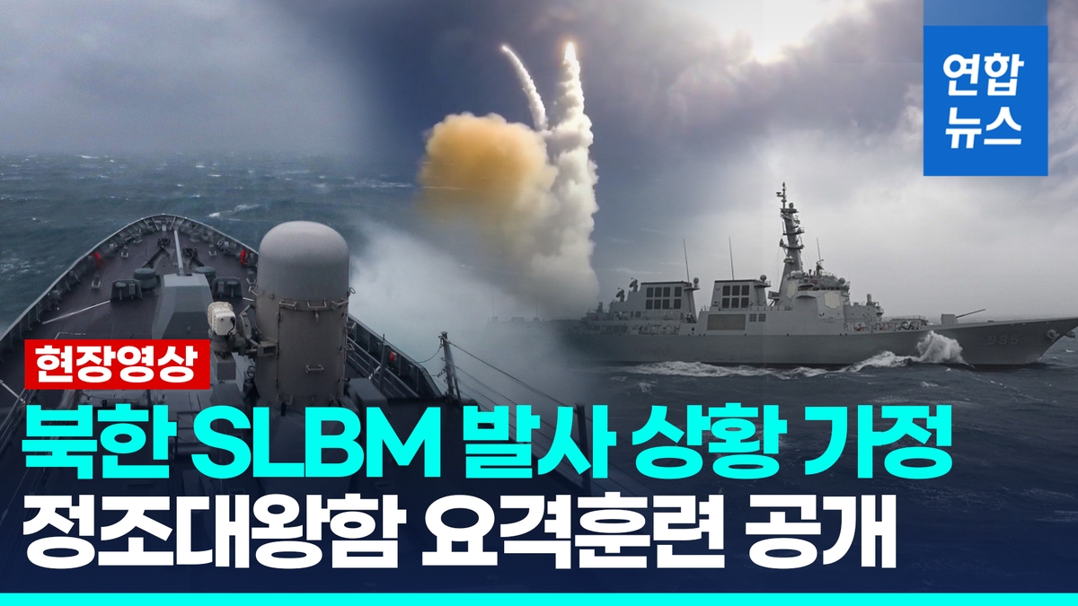 [영상] "SM-3 발사! 타깃 명중!"…정조대왕함 SLBM 요격 훈련 첫 공개